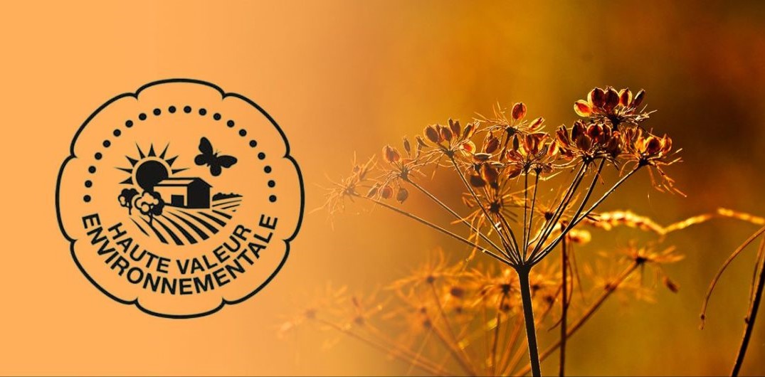 Environnement | Château Jalousie Beaulieu